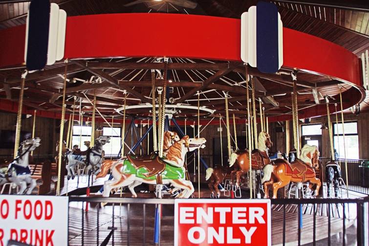 A merry go round with horsesDescription automatically generated